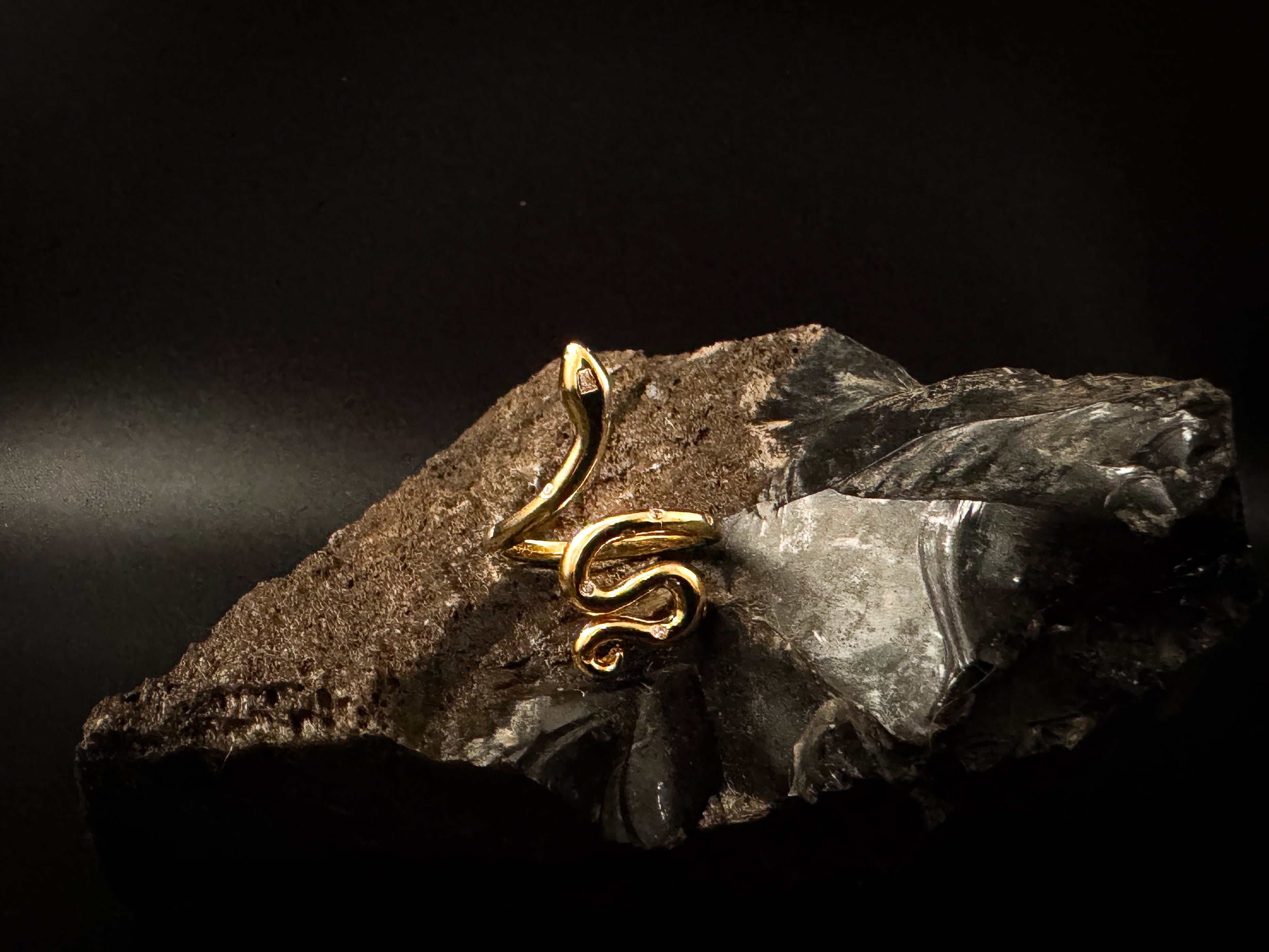 Serpent Gemstone Ring – The Invocation